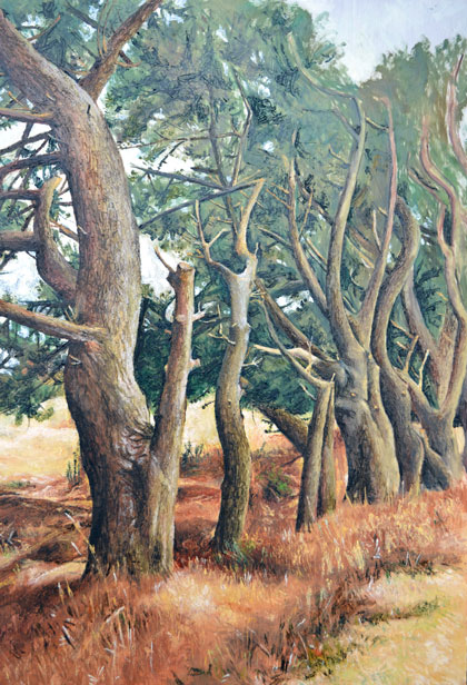 Antipodean Palette 2014 – GACL